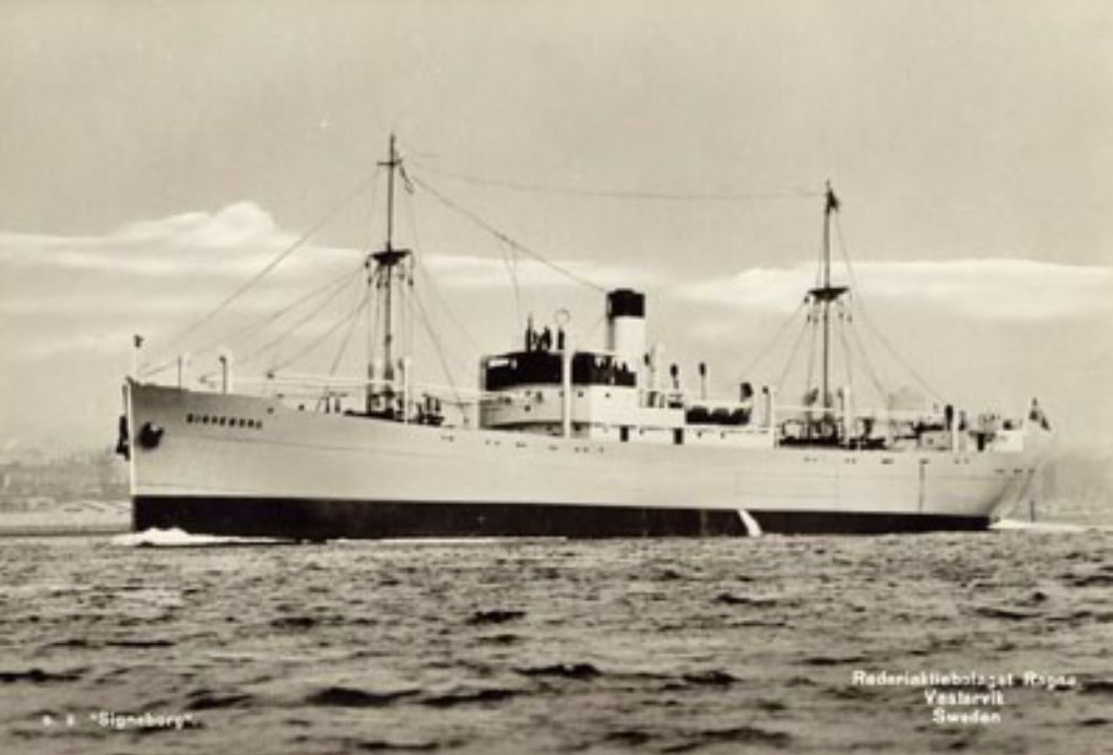 Nyland